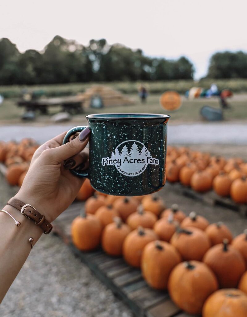 Pumpkin Fluff Dip - Sierra In The City
