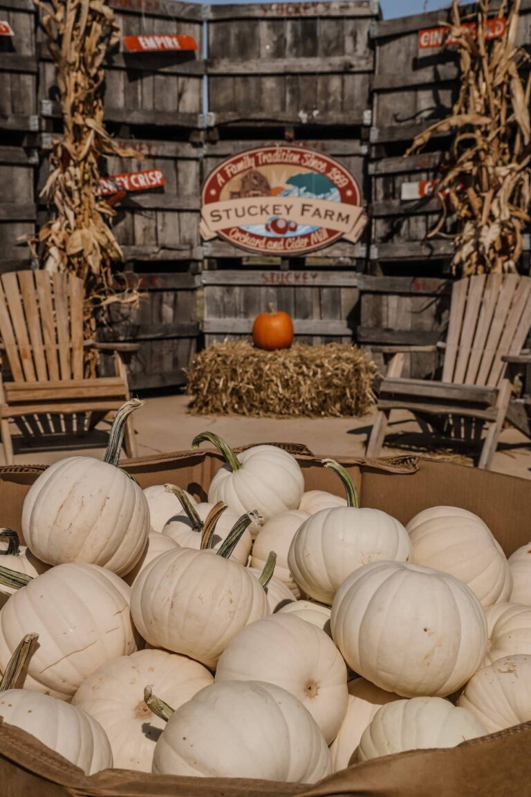 Indy Apple Orchard & Pumpkin Patch Guide - Sierra In The City