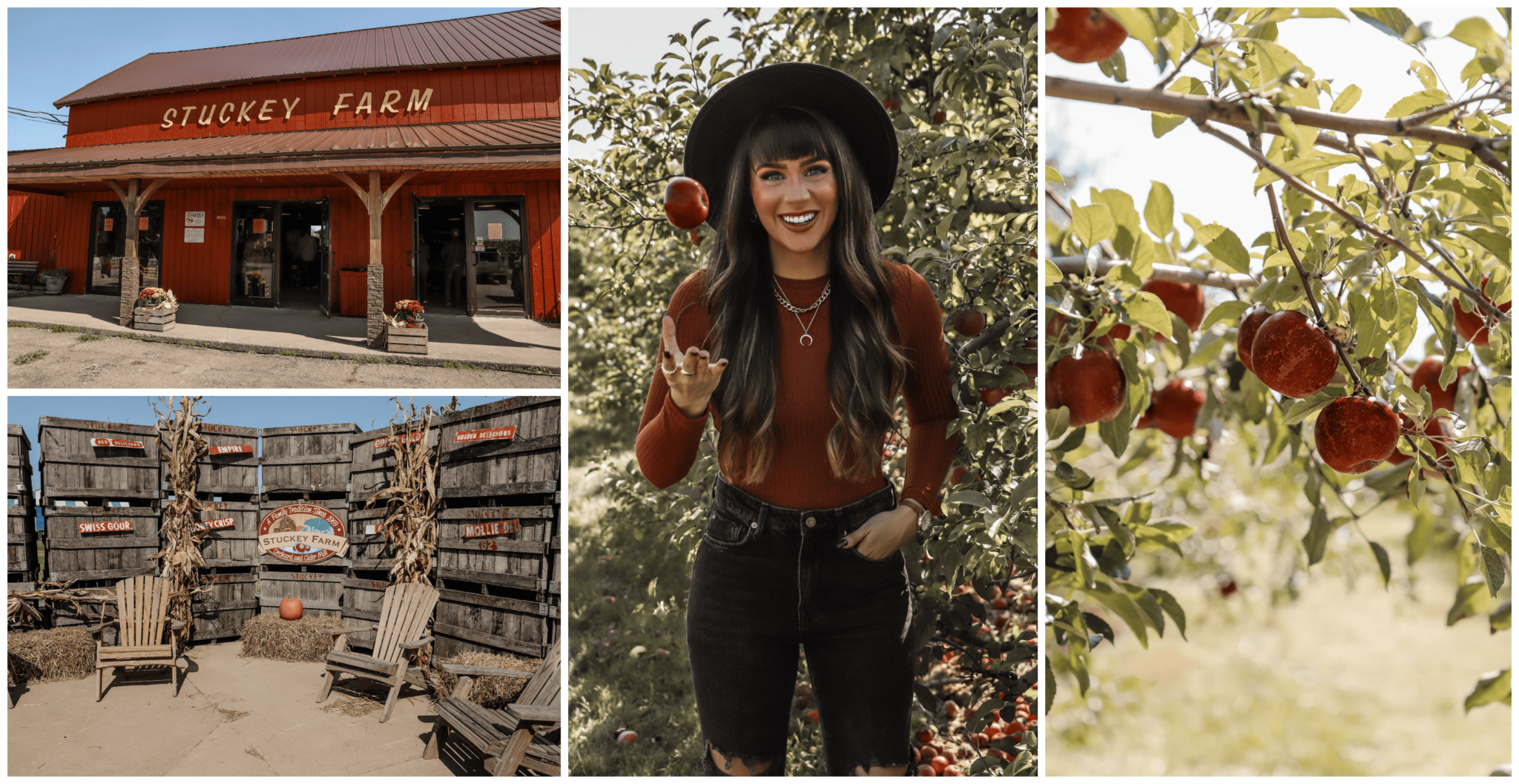 Indy Apple Orchard & Pumpkin Patch Guide - Sierra In The City