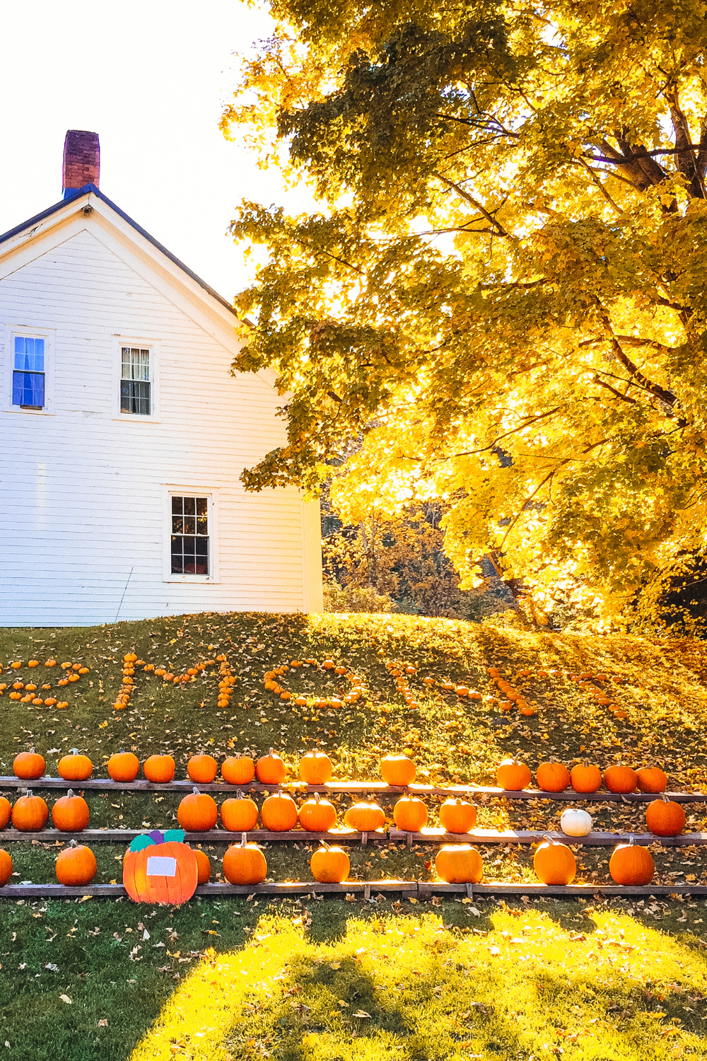 16 Best Travel Destinations in the Fall - Sierra In The City