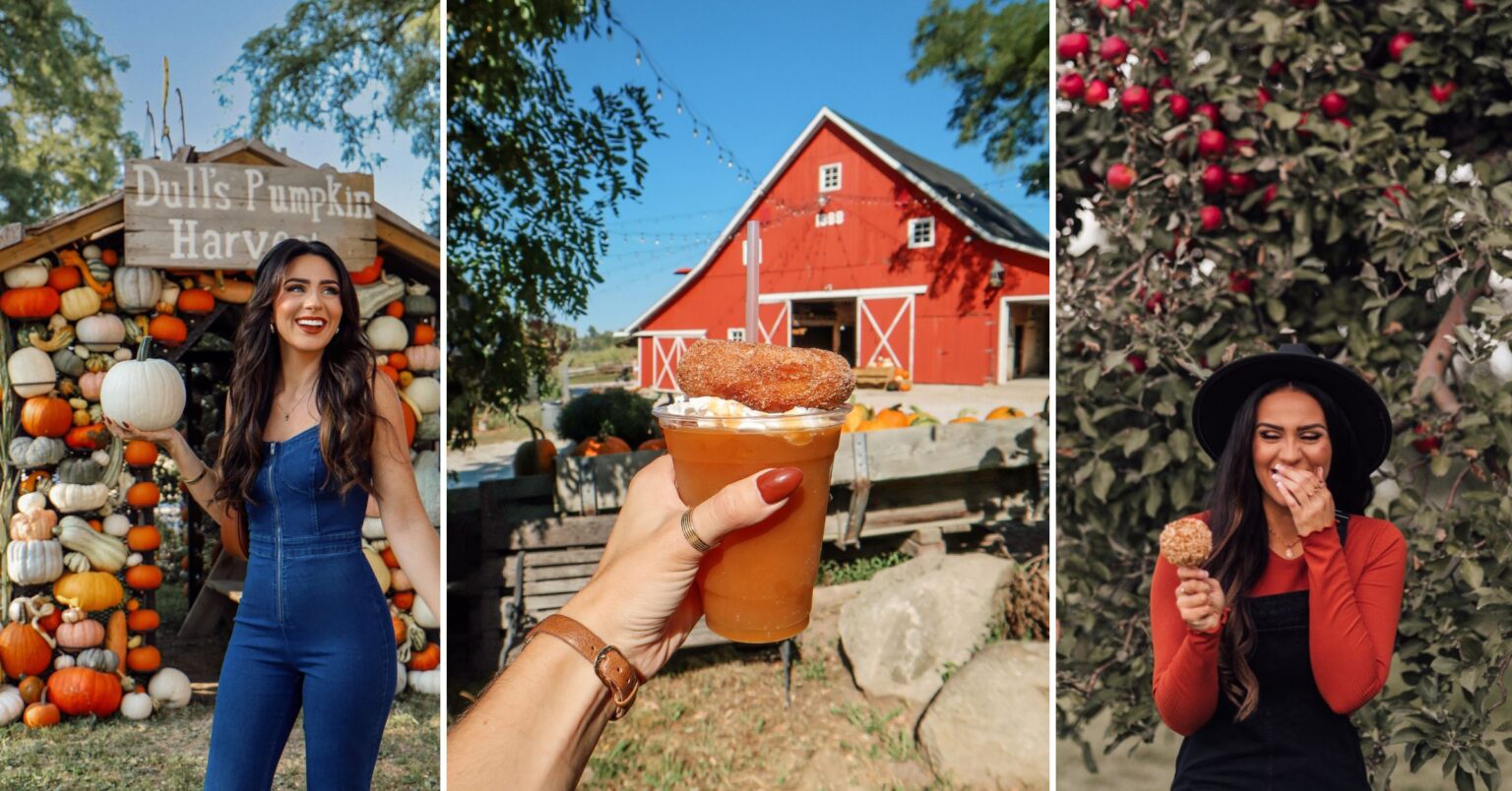 Indy Apple Orchard & Pumpkin Patch Guide - Sierra In The City