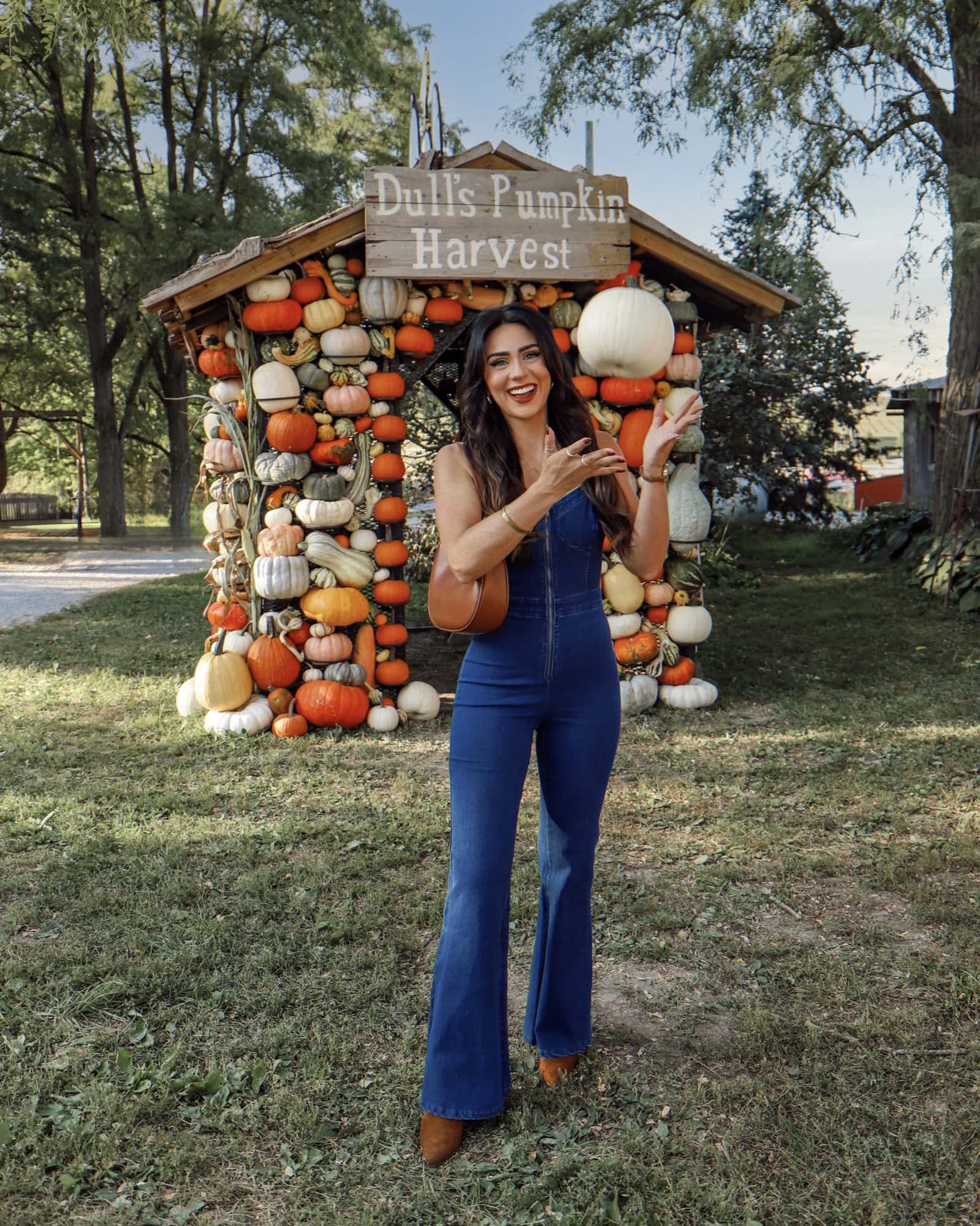 Fall Pumpkin Harvest at Dull's Tree Farm - Sierra In The City