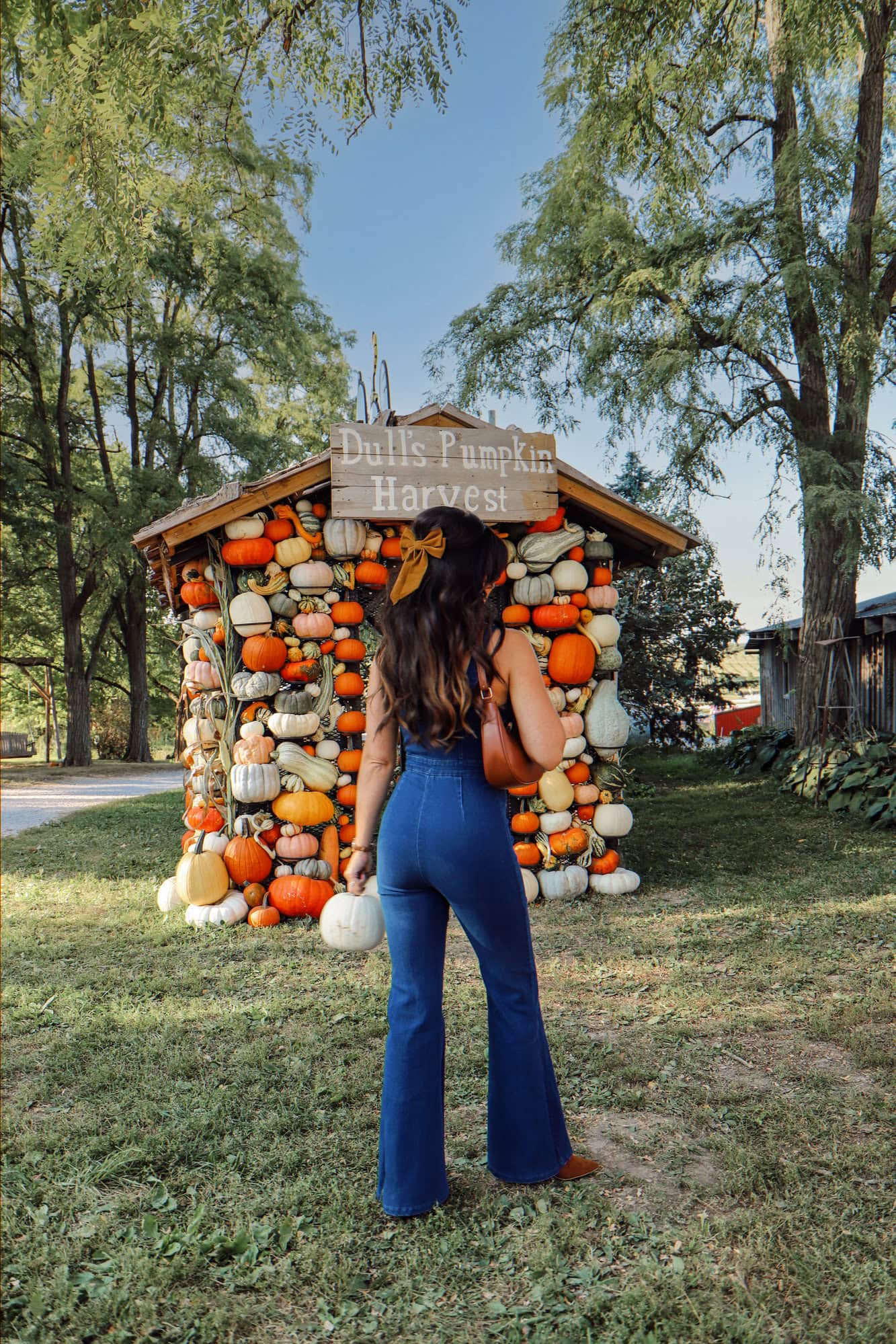 Fall Pumpkin Harvest at Dull's Tree Farm - Sierra In The City