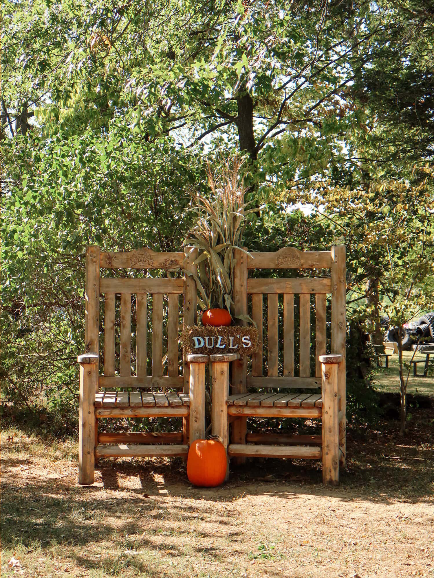 Fall Pumpkin Harvest at Dull's Tree Farm - Sierra In The City