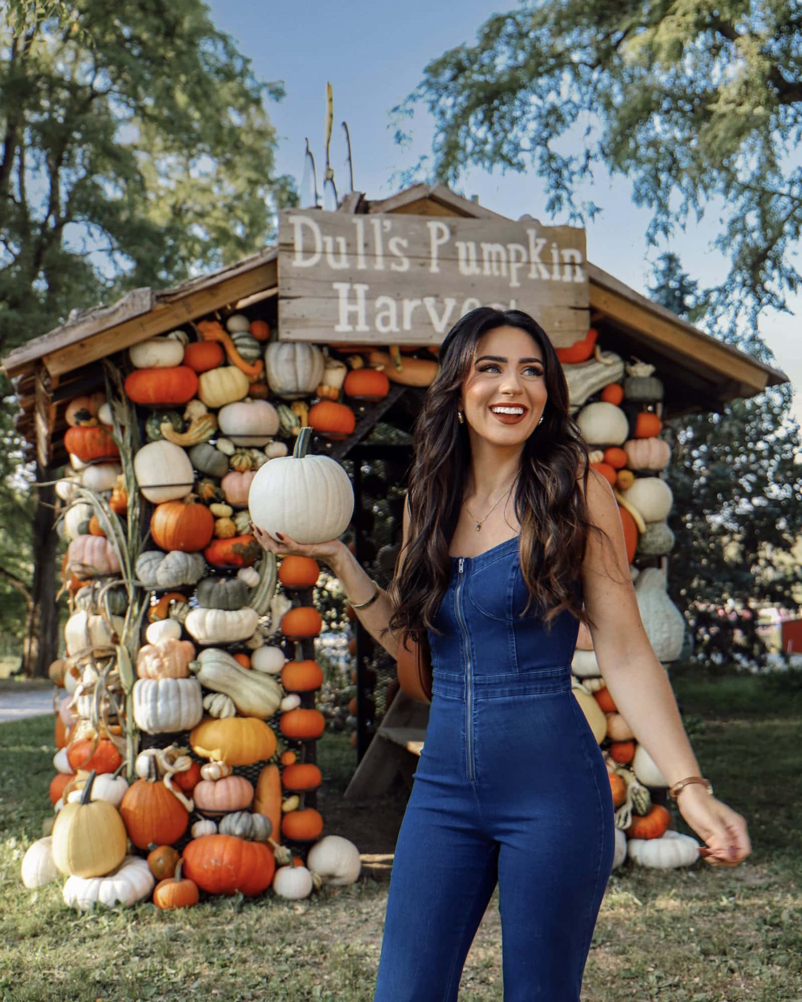 Fall Pumpkin Harvest at Dull's Tree Farm - Sierra In The City