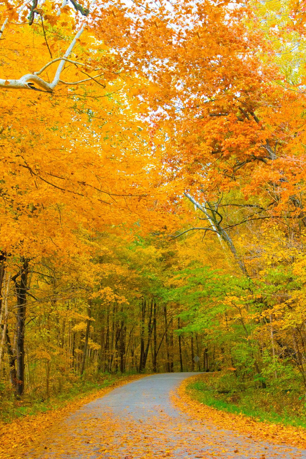 15 Best Fall Destinations in U.S. - Sierra In The City