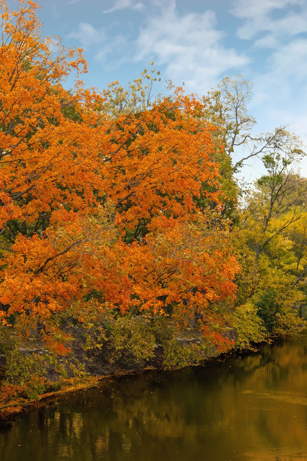 15 Best Fall Destinations in U.S. - Sierra In The City