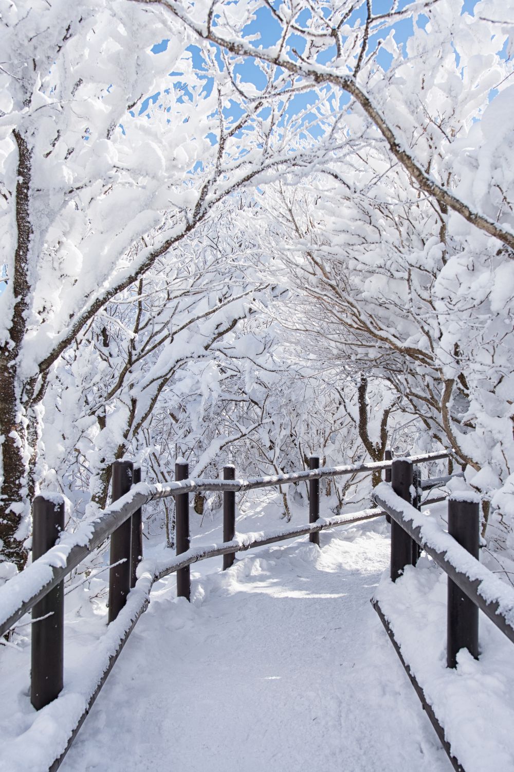 25 Winter Travel Destinations - Sierra In The City